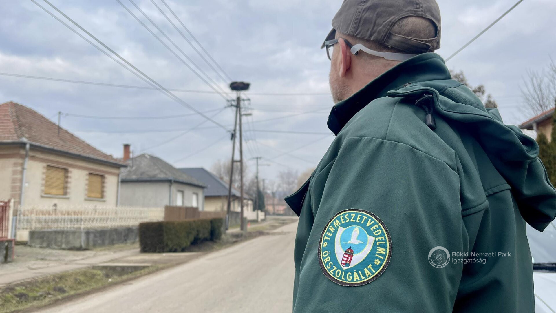 Mátrai gólyahír – Gólyafészek karbantartási feladatok a Mátrai ...